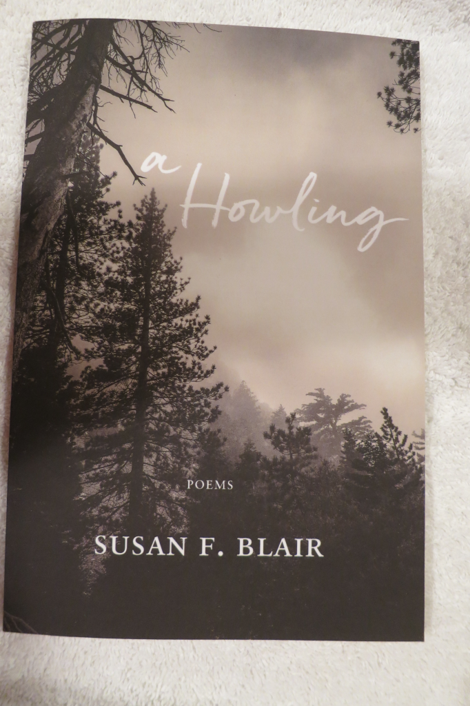 A Howling - Susan Blair Kid Lit